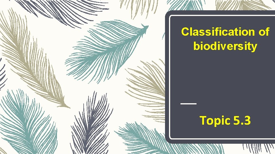 Classification of biodiversity Topic 5 3 Why are