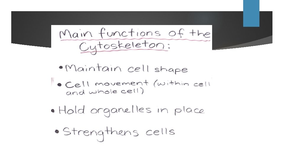 Cytoskeleton BY CHEYENNE WALDEN What is the cytoskeleton