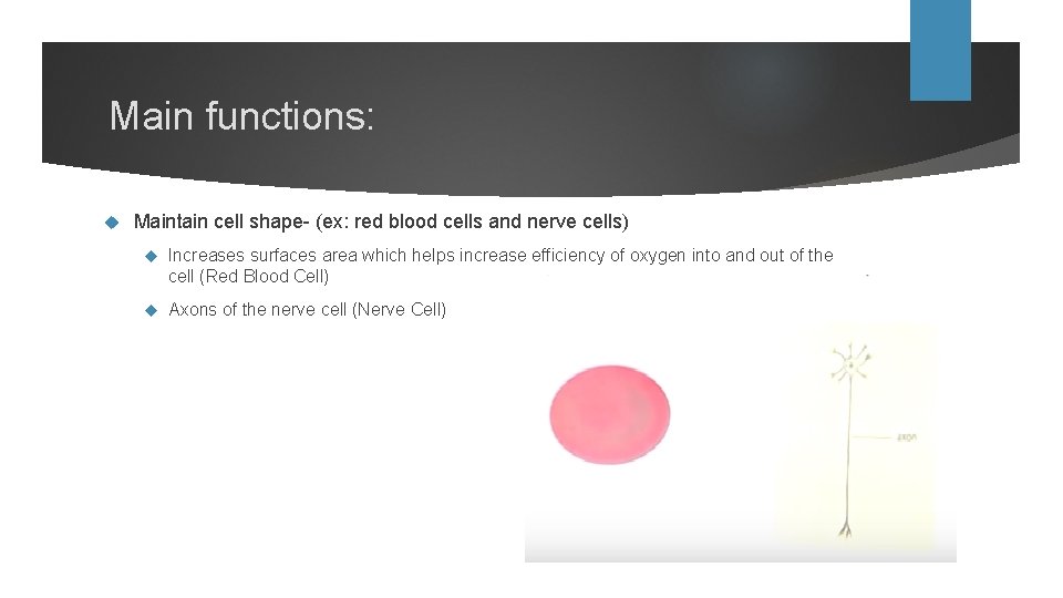 Cytoskeleton BY CHEYENNE WALDEN What is the cytoskeleton