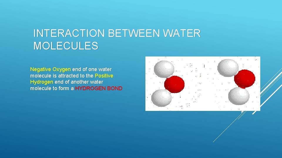 WATER Topic 1 1 ENDURING SYI1 Living systems