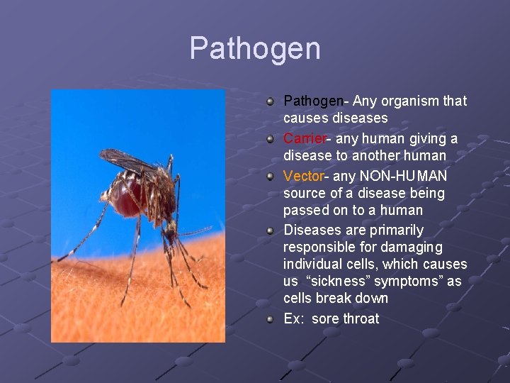 Virus Microlife Infectious Diseases Objective you will be