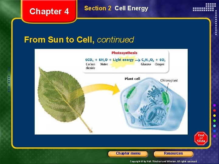 Chapter 4 The Cell in Action Table of