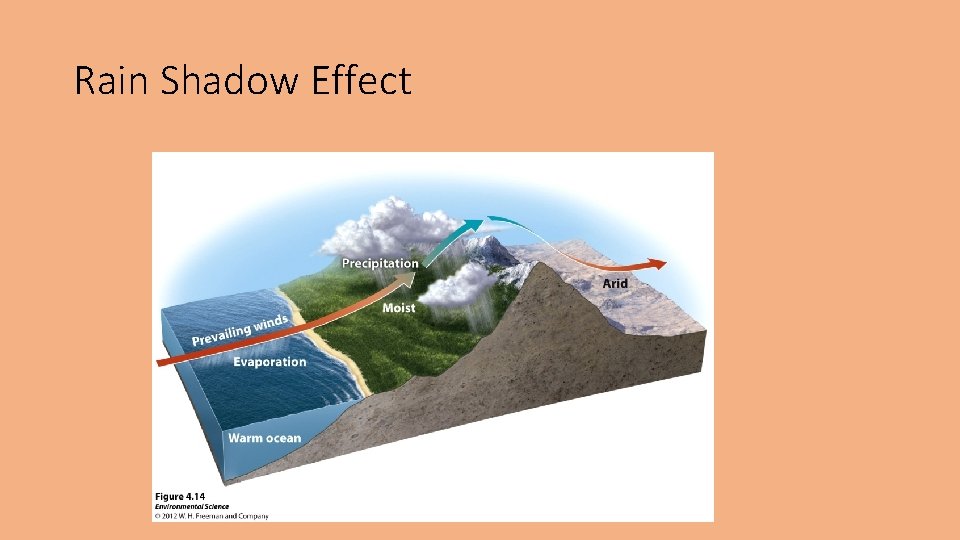Environmental Science Week 2 UNIT 1 Understanding environmental