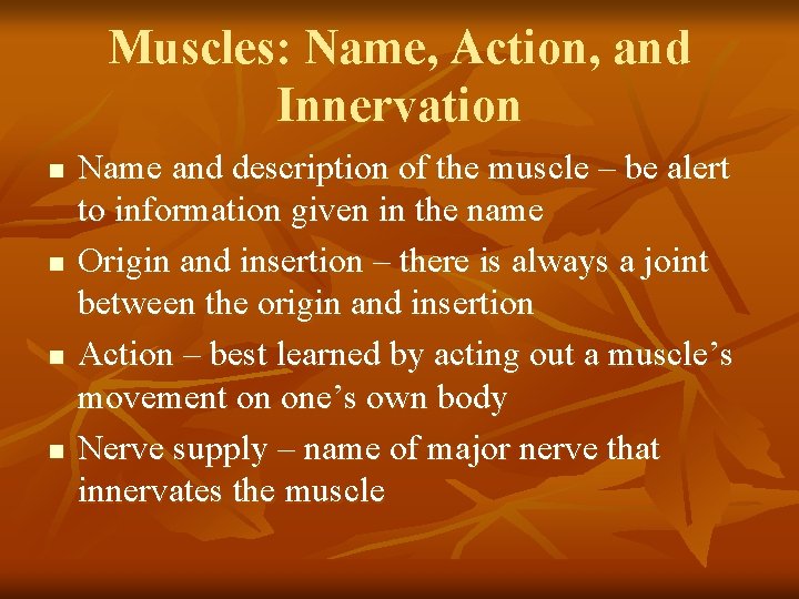 Interactions of Skeletal Muscles n n Skeletal muscles