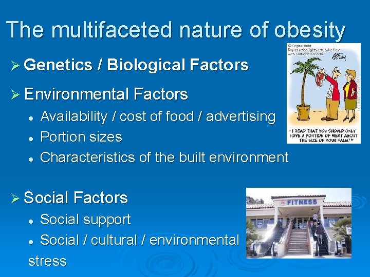 Healthy Weight Healthy Eating Understanding and helping individuals