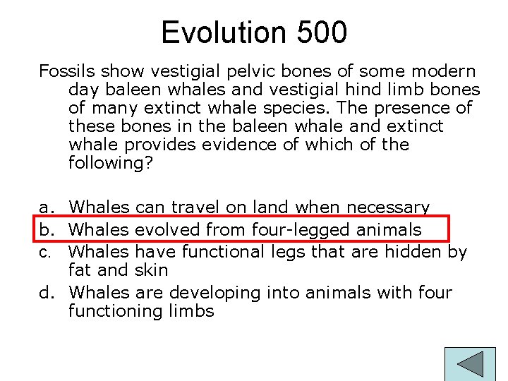 Natural Selection Evidence for Evolution 100 300 only