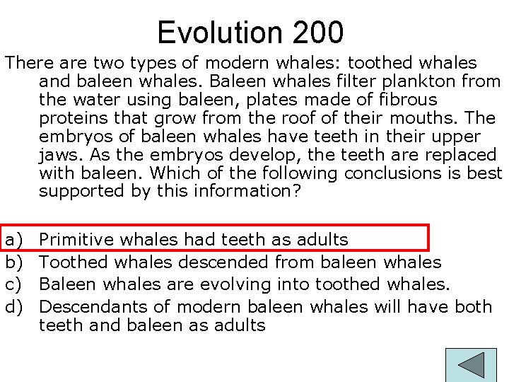 Natural Selection Evidence for Evolution 100 300 only