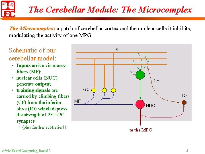 From Brain Operating Principles to Computer Technology Michael