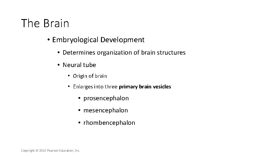 Chapter 13 The Brain and Cranial Nerves Power