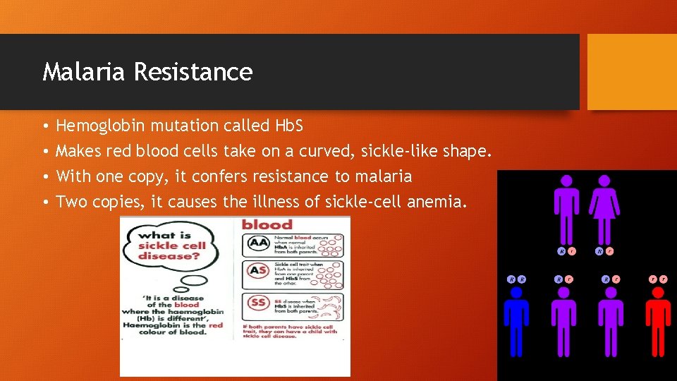 Lesson 36 Mutations Cont Activator https www youtube