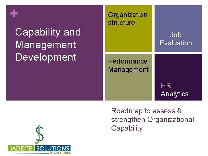 Capability and Management Development Organization structure Job Evaluation