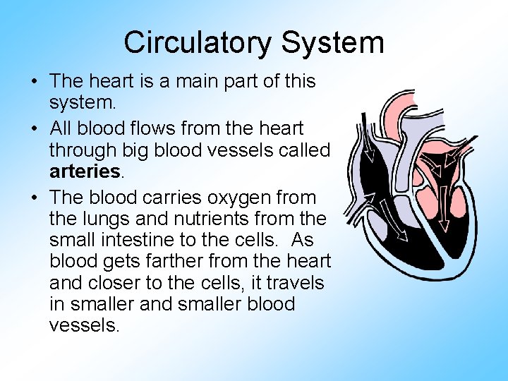 Human Systems Unit 4 The Movers and Removers