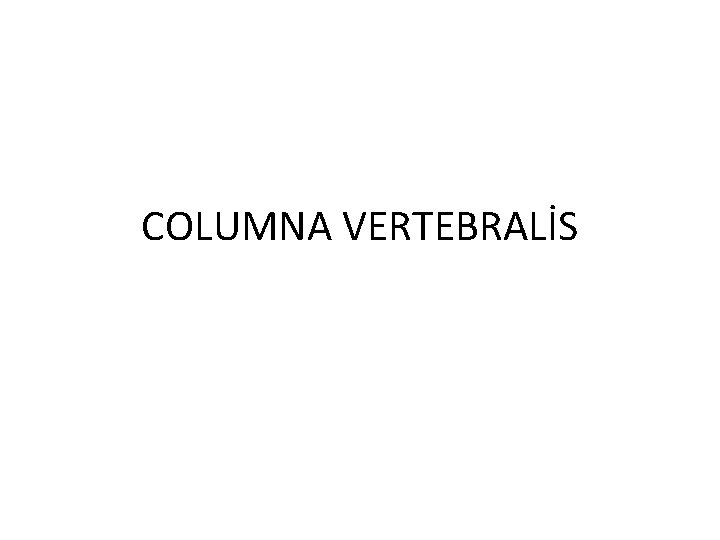 COLUMNA VERTEBRALS Genel bilgi 26 adet bamsz kemik