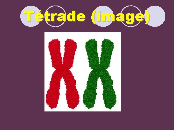 Biologie e 11 Module 4 Introduction aux termes