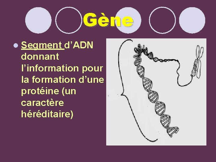 Biologie e 11 Module 4 Introduction aux termes