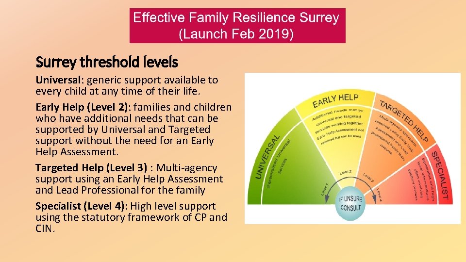 Working Together to Safeguard Children Reigate School Staff