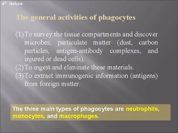 4 th lecture PHAGOCYTES THE EVERPRESENT BUSYBODIES OF