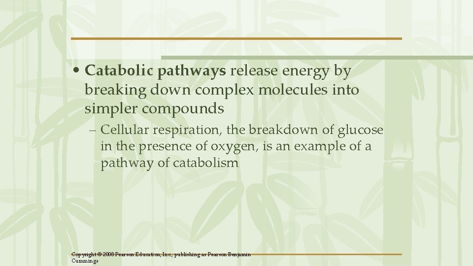Cellular Energy The First Law of Thermodynamics first