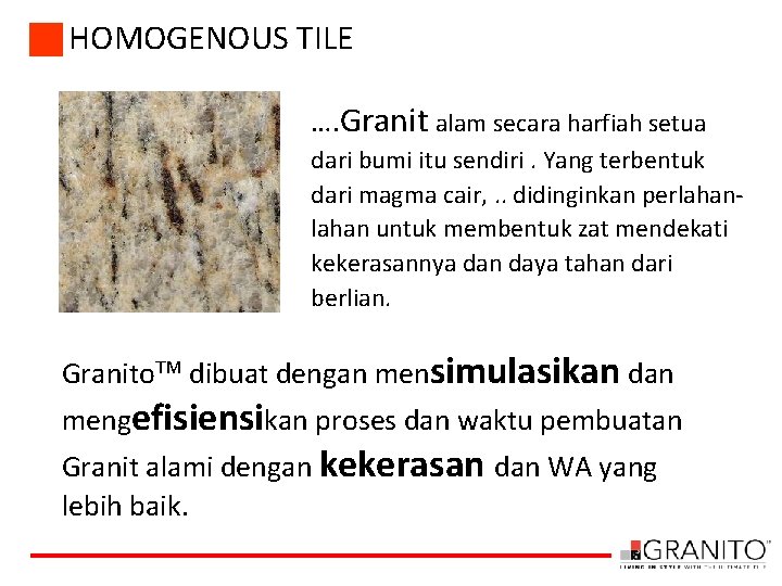 Granito adalah merek produk Homogeneous tile berlisensi dari