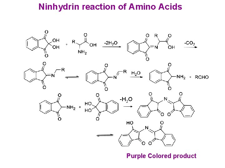 Proteins in Food BY DR GHULAM ABBAS PROTEINS