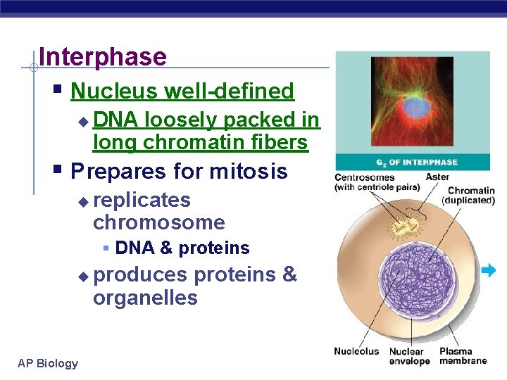 Biology is the only subject in which multiplication