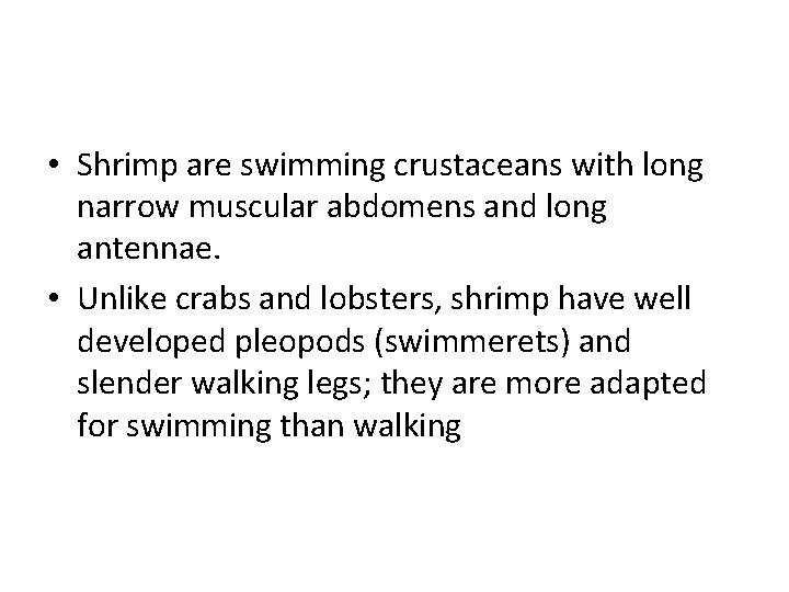 Crustaceans Crustacea Sub Phylum of Arthropoda Like other