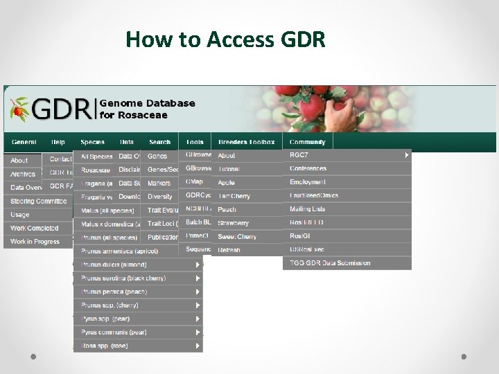 How to use GDR the Genome Database for