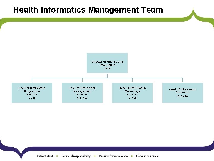 Health Informatics Management Team Director of Finance and