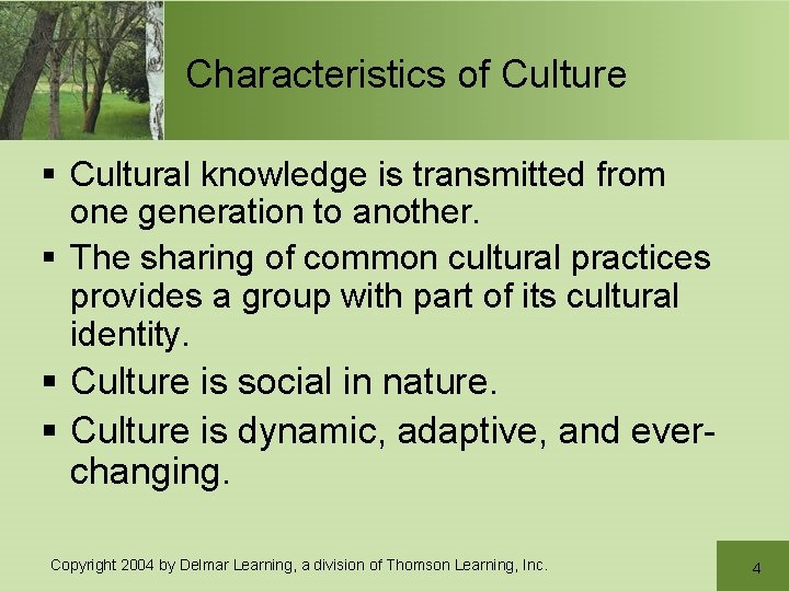 Chapter 5 Culture and Ethnicity Copyright 2004 by