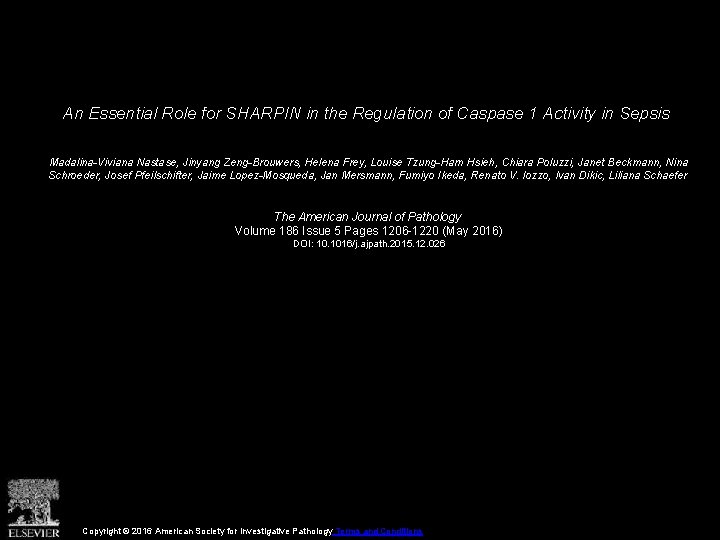 An Essential Role for SHARPIN in the Regulation