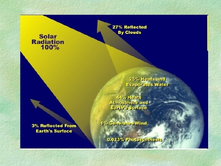 Energy in Ecosystems Change And Stability In Ecosystems