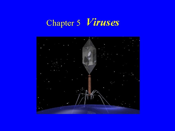 Chapter 5 Viruses Chapter outline 5 1 General