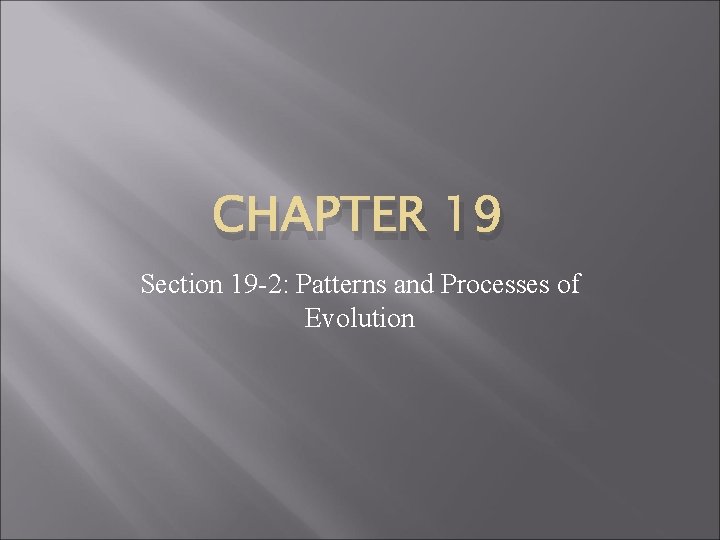 CHAPTER 19 Section 19 2 Patterns and Processes