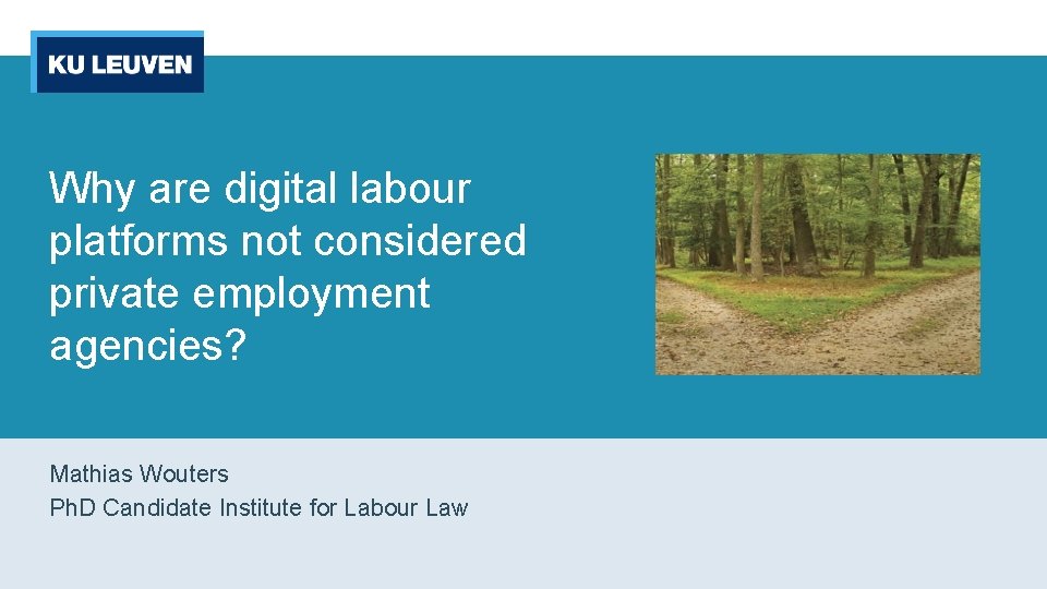 Why are digital labour platforms not considered private