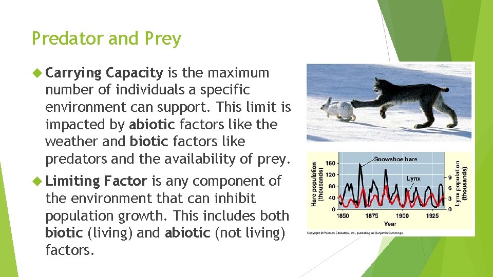 Wildlife and Ecosystems Wildlife Management 2030 Predator and