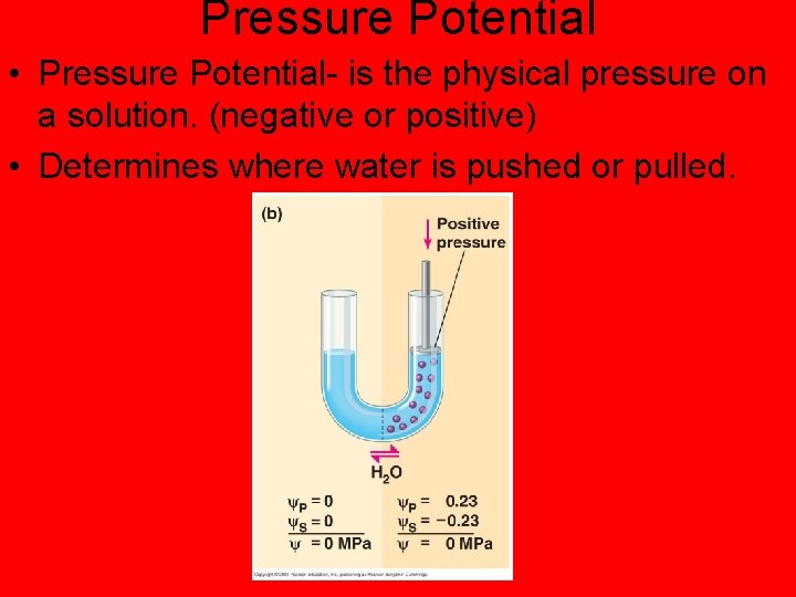 Water Transport and Plant Signaling Proton Pumps Transport