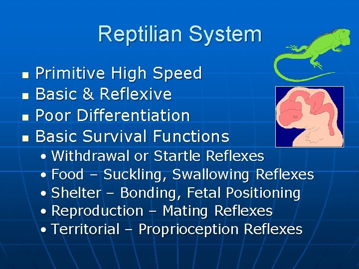 UNDERSTANDING YOUR BRAIN NERVOUS SYSTEM Ocean Park Natural