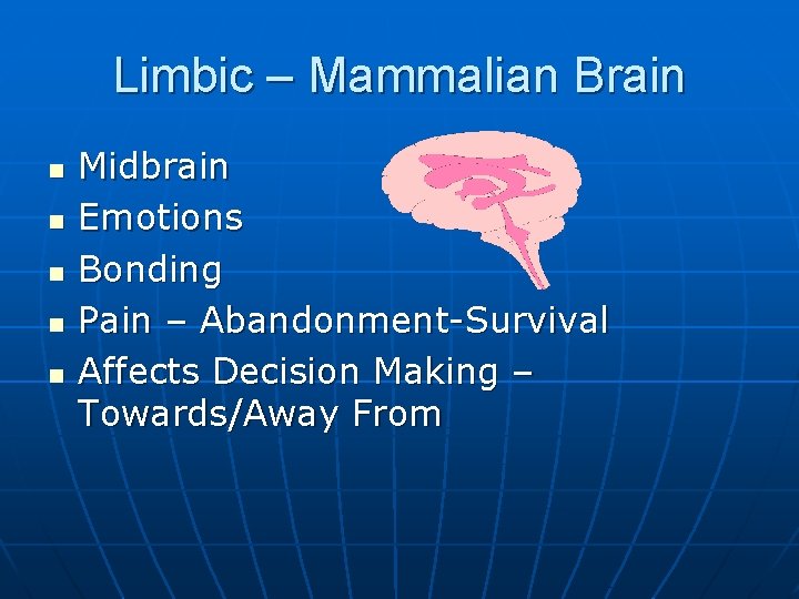 UNDERSTANDING YOUR BRAIN NERVOUS SYSTEM Ocean Park Natural