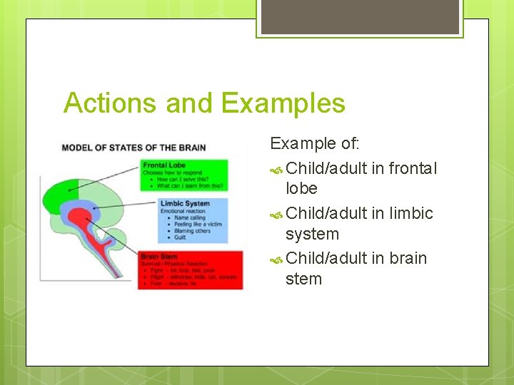 Understanding Challenging Behavior Our Brains Responses and Strategies