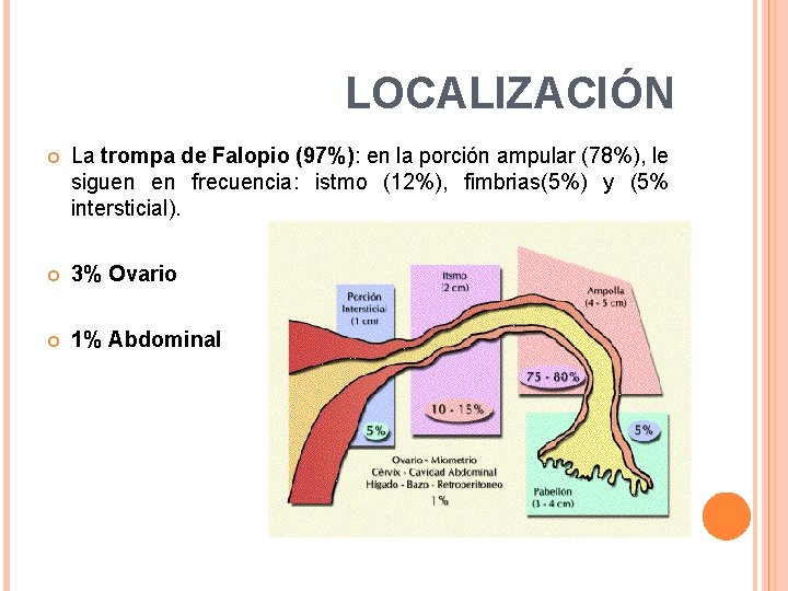 EMBARAZO ECTPICO GINECOLOGA Aldama Sols Patricia Blanco Flores
