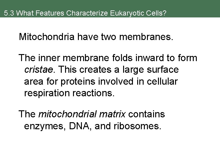 5 3 What Features Characterize Eukaryotic Cells Primary