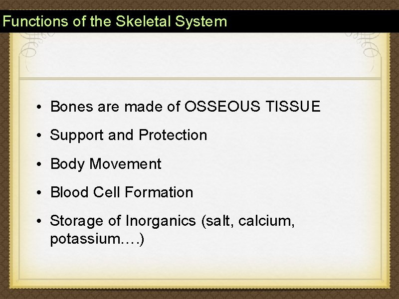 SKELETAL SYSTEM Functions of the Skeletal System Bones
