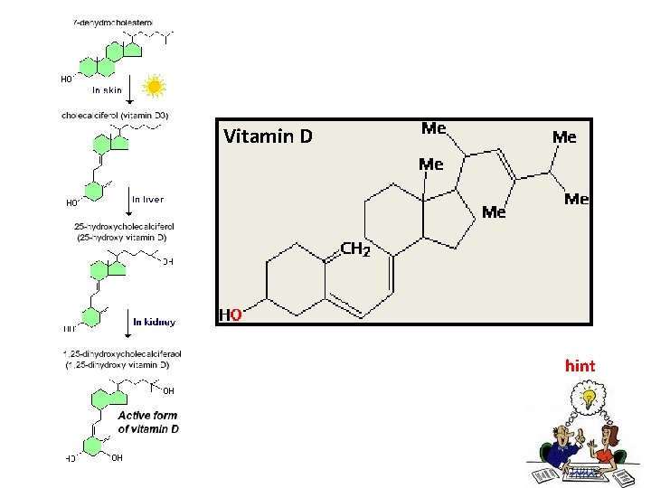 Teachable Unit Membrane Structure and Function Junior level