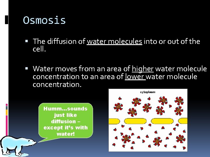 UNIT 4 Lesson 2 Notes MOVING CELLULAR MATERIALS