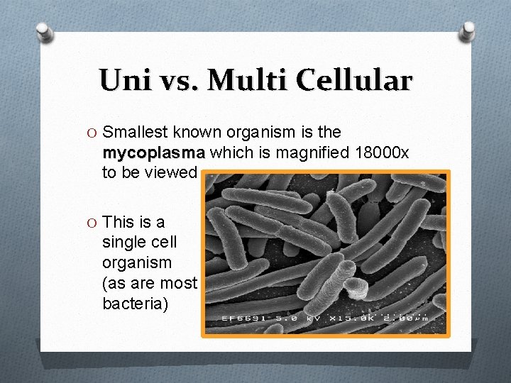 Cells The Basic Units of Life Cell Structures