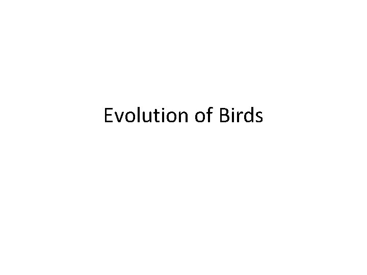 Evolution of Birds Features that unite birds and