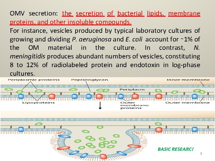 Outer Membrane Vesicle of Bacteria Friend or Foe