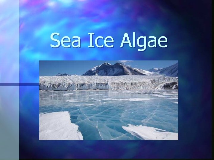 Sea Ice Algae The Polar Regions n Antarctic