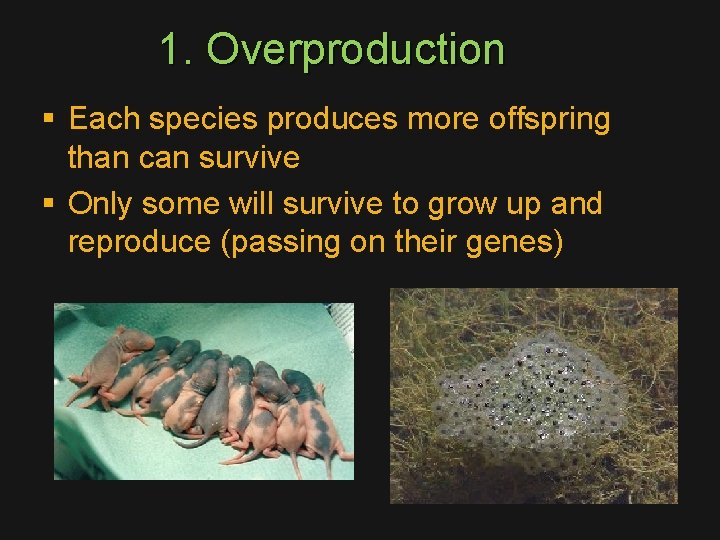 Darwin Natural Selection Evolution Unit Learning Goals 1