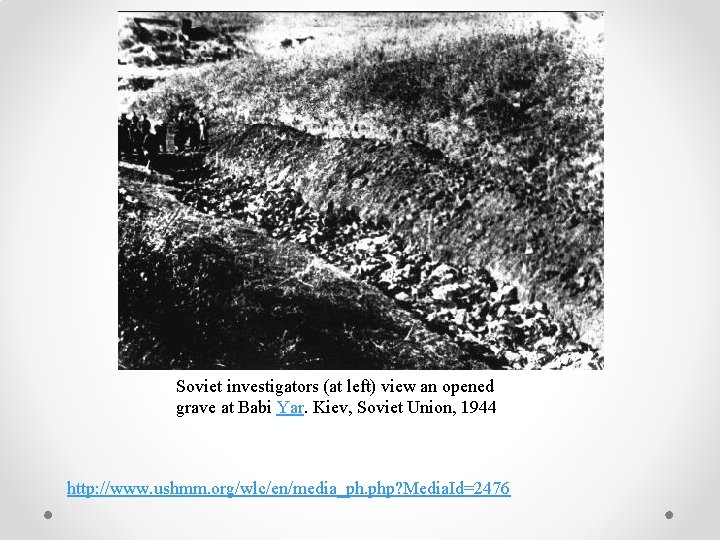 The Dictionary of the Holocaust By M Moss